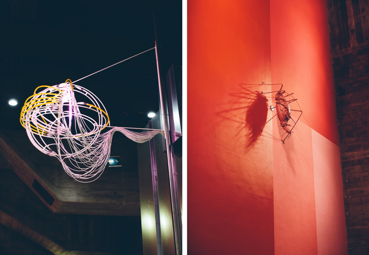 CARSTEN HOLLER | Sophia Spring